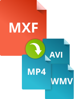 How to Convert MXF Files | MXF Converter by Movavi