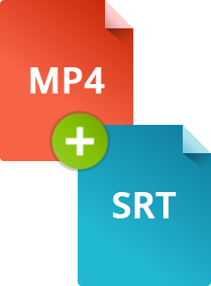 How to Add Subtitles to MP4 | Add SRT to MP4 with Movavi